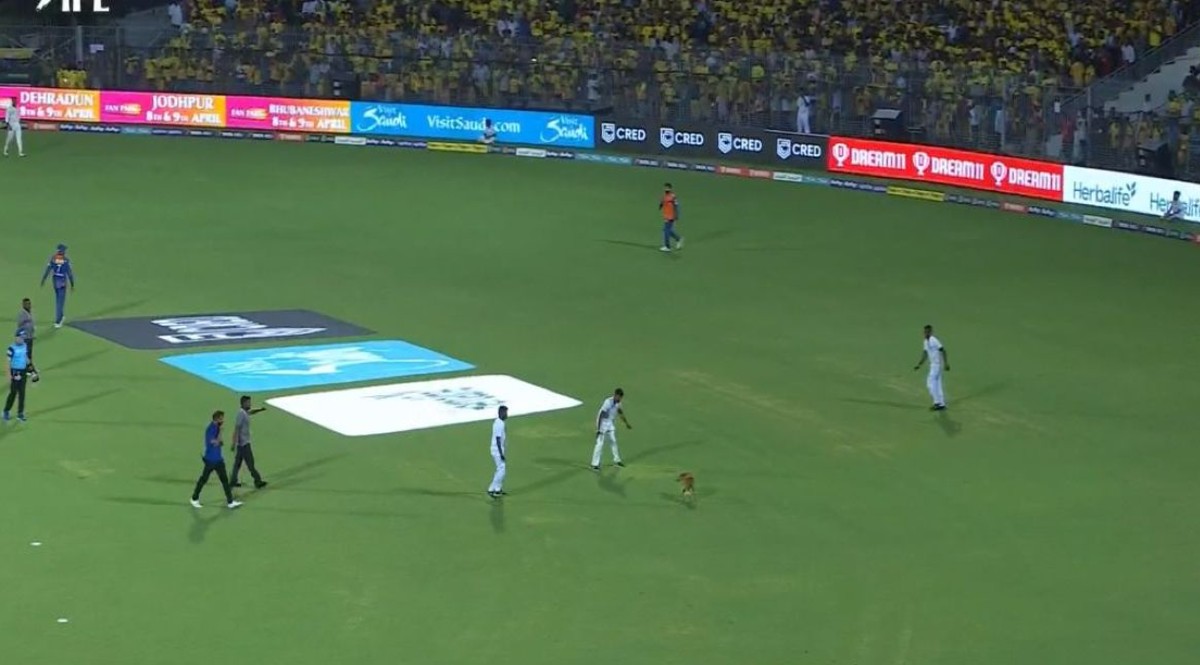 CSK vs LSG, IPL 2023: MS Dhoni watches as Dog delays play at the MA ...