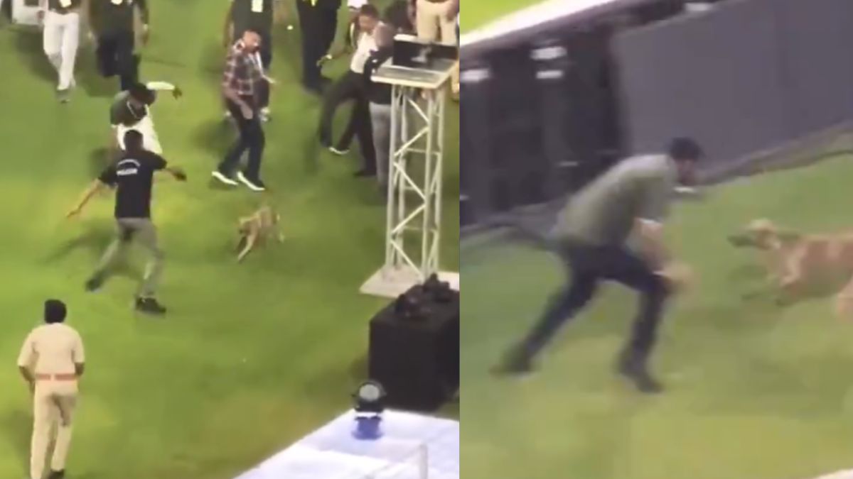 IPL 2024: Dog steals the show with 'Lionel Messi' moves during GT vs MI ...