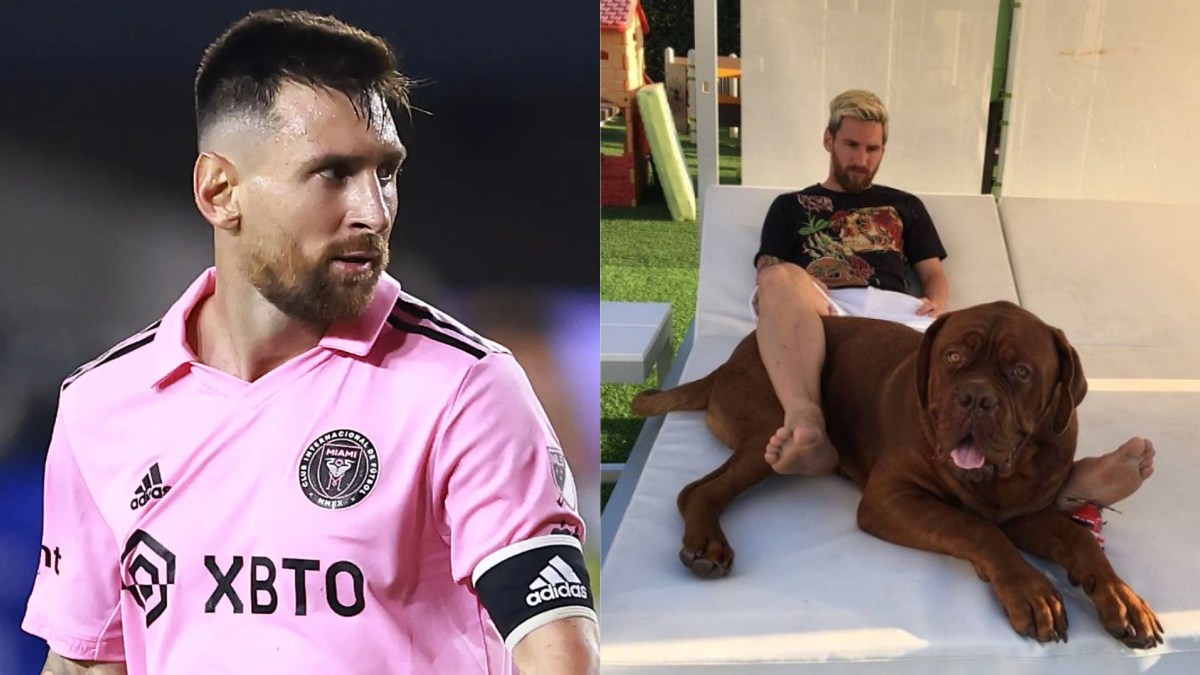 Messi: இத்தனை லட்சமா.. மெஸ்ஸியின் வளர்ப்பு நாய் ”ஹல்க்” தொடக்க விலை ...